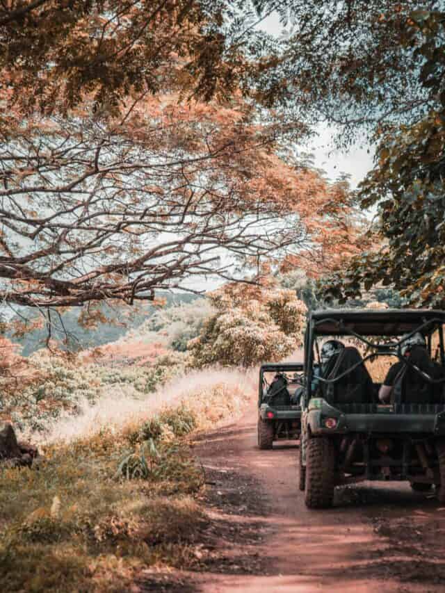 Does North Carolina have ATV Trails? All You Need to Know - Off-Road ...