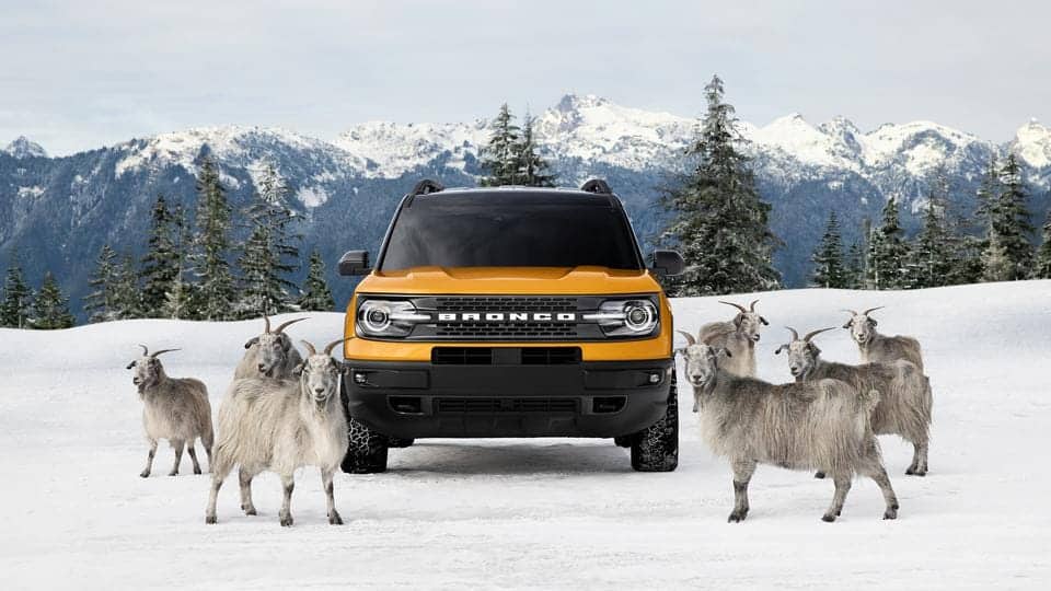 Is The Bronco Sport Good in Snow? All You Need to Know - Off-Road Handbook